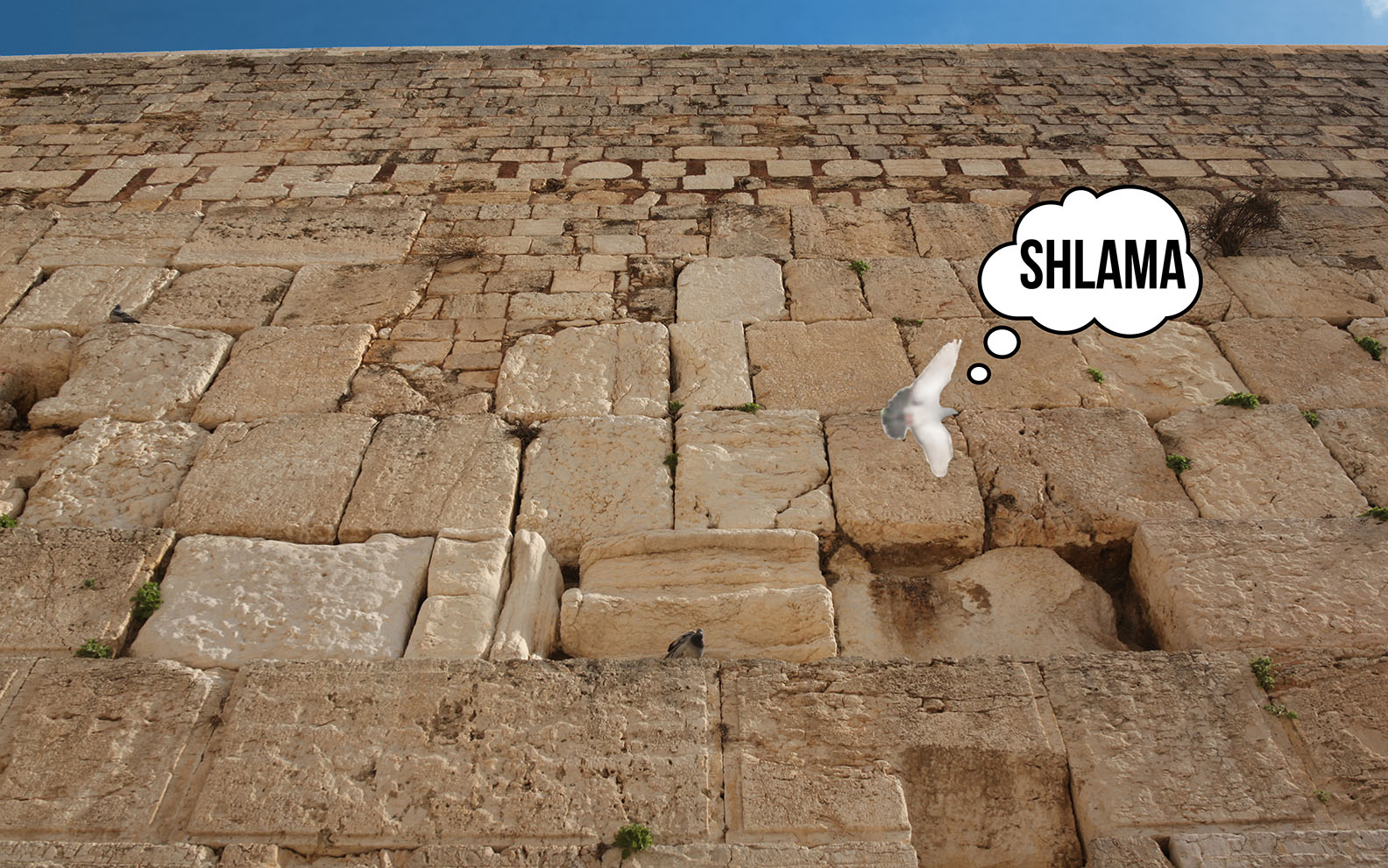 “Mission Possible” Fundraiser Celebrates MidEast Peace With Art - ZEX ...